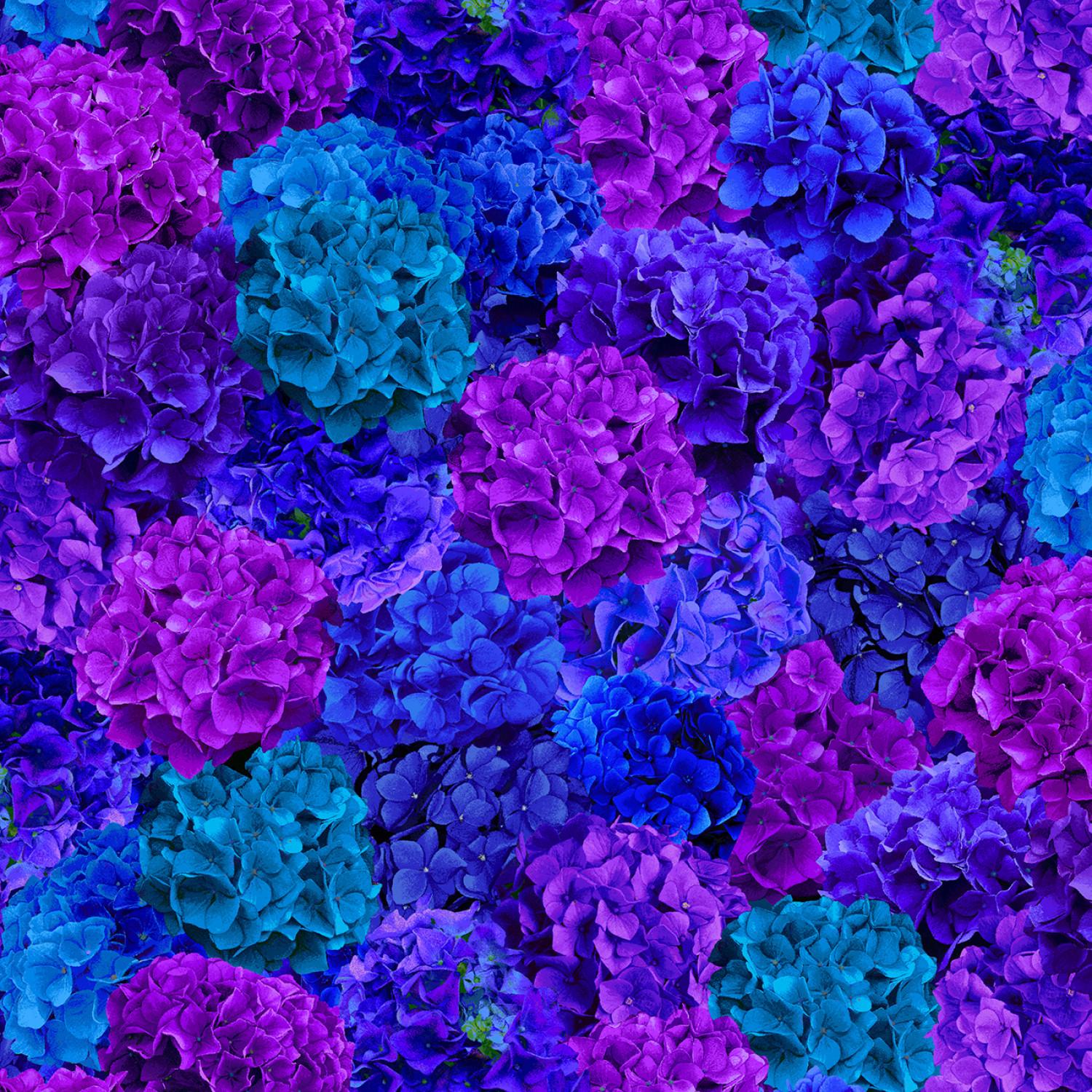 Midnight Bloom - CD3383-Multi – Lori's Country Cottage